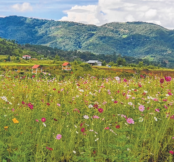 Emerging tourist destination in Senapati district Village in Koide ...