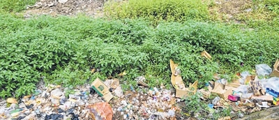Inadequate waste disposal system breeds pollution - The Sangai Express ...
