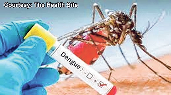 Dengue cases on the rise with 144 infected - The Sangai Express ...