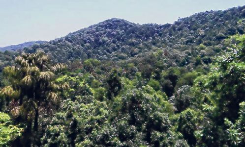 The Sangai Express - Largest Circulated NewsPaper in Manipur